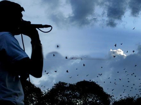 ‘The Birdman’, sounds of 151 types of bird-Nepal